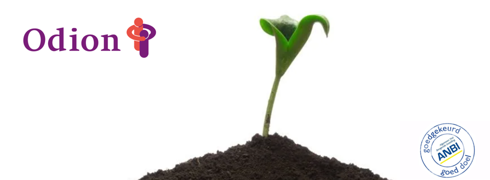 Afbeelding logo OdionAutomatisch gegenereerde beschrijving